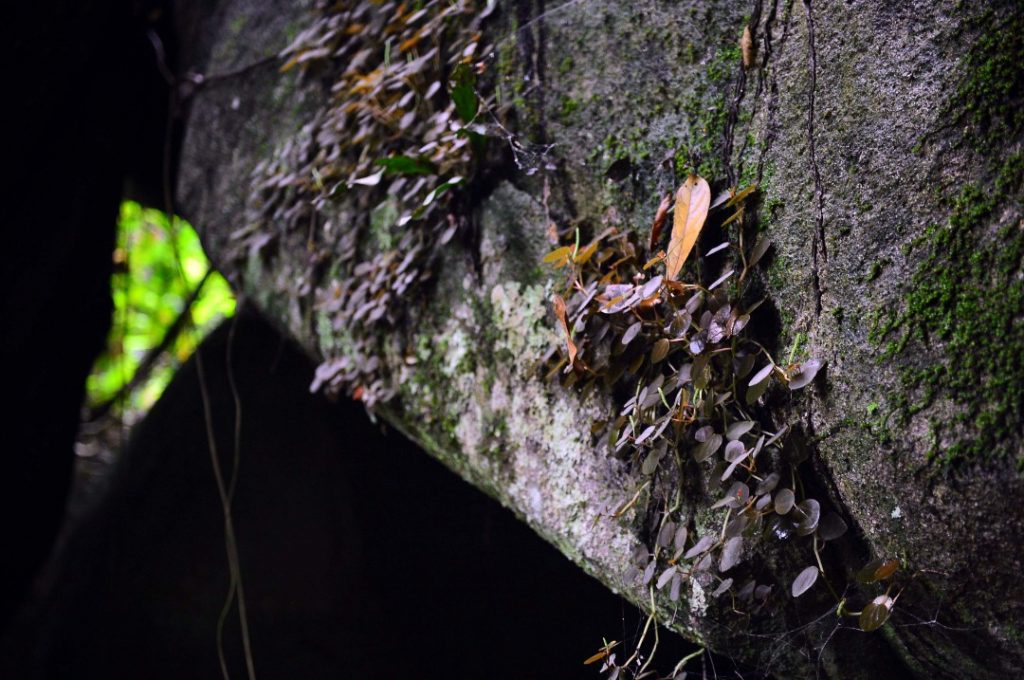 Lost World of Melaka: Bukit Batu Lebah – TamuAsia