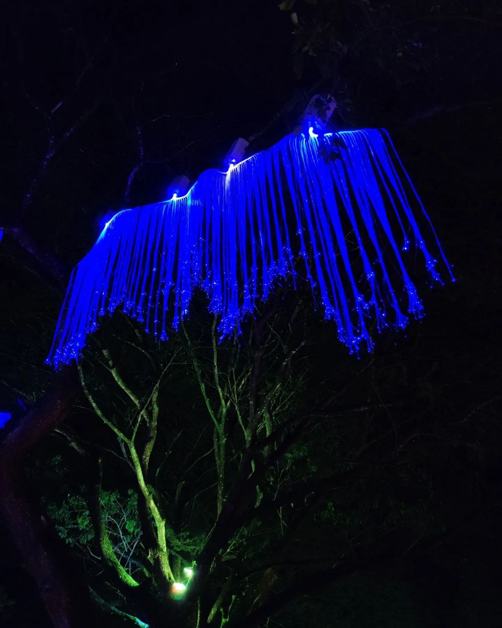 Taman Rahsia Putrajaya: Taman Malam Baharu Di Putrajaya Sesuai Untuk ...